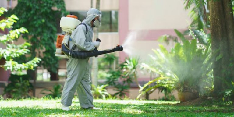 Health Benefits of Professional Mosquito Control | Life Tips & Ideas